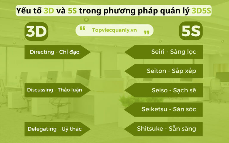 3D5S là gì? Cách vận dụng 3D5S trong quản trị doanh nghiệp - topviecquanly