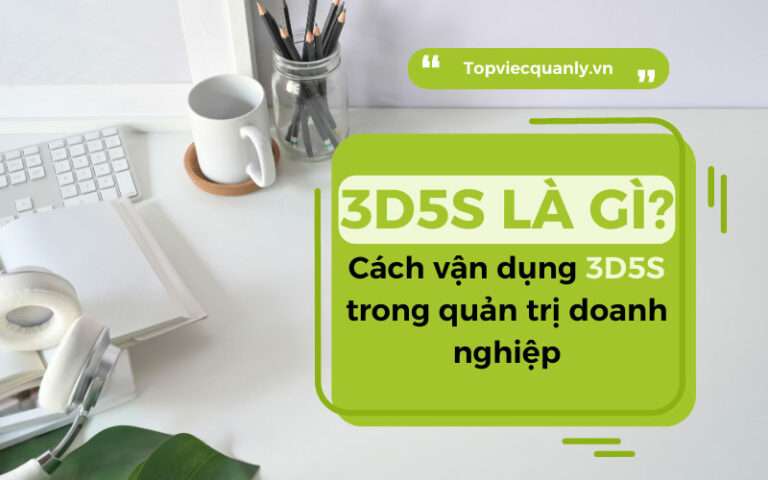 3D5S là gì? Cách vận dụng 3D5S trong quản trị doanh nghiệp - topviecquanly