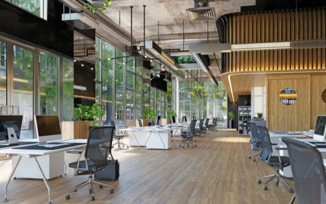 3D5S là gì? Cách vận dụng 3D5S trong quản trị doanh nghiệp - topviecquanly